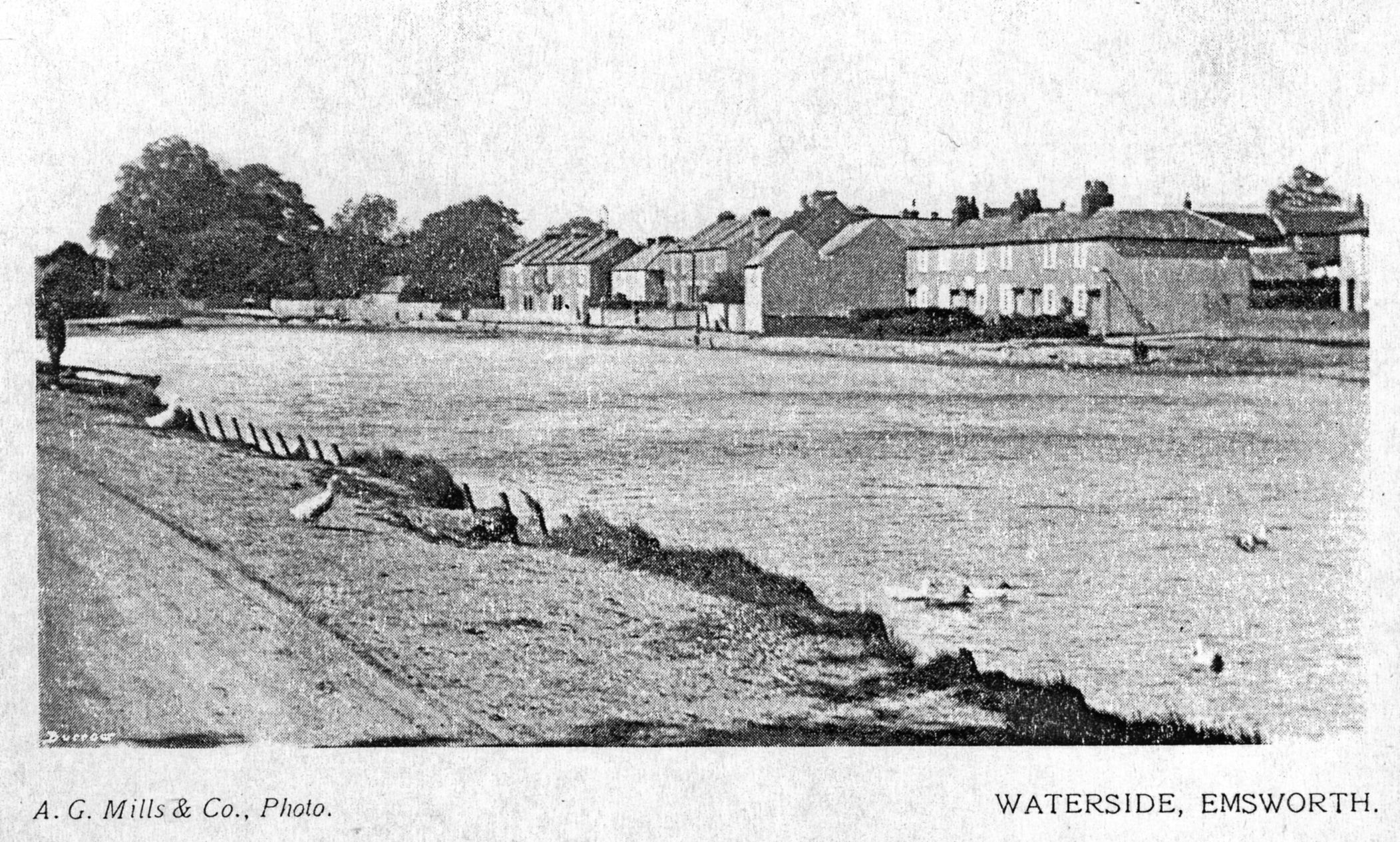 Photographs of Emsworth · Emsworth Museum