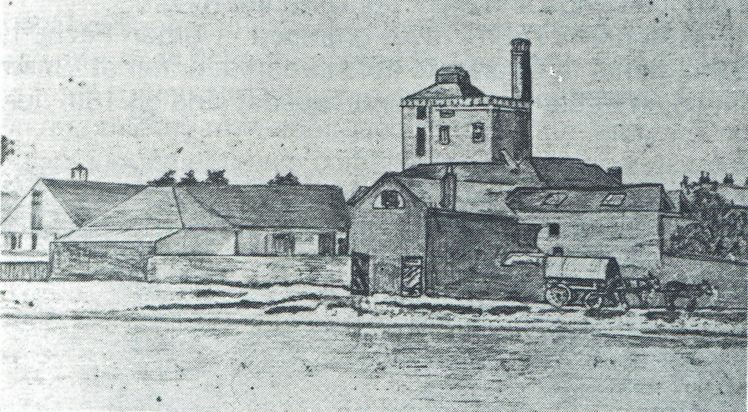 Emsworth Echo November 2022 – Emsworth Museum